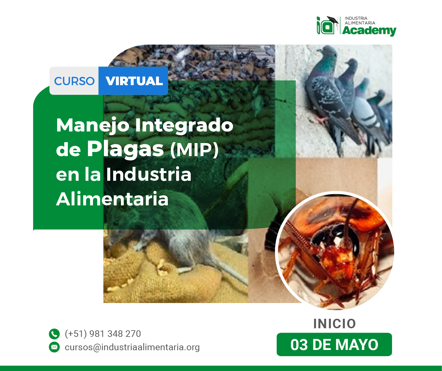 Revista Industria Alimentaria